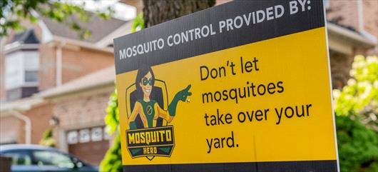 What to Expect with Your Mosquito Control Program