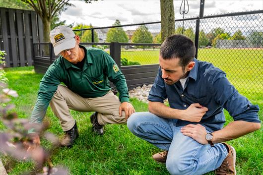 What to Expect from Your Tick Control Program with Mosquito Hero